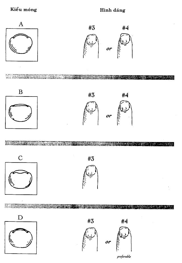 kt12-4.jpg